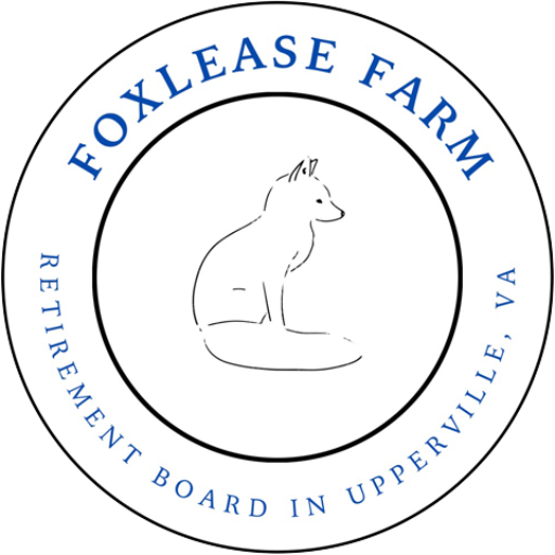 Polo Club – Foxlease Farm